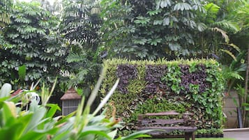 Pátio interior