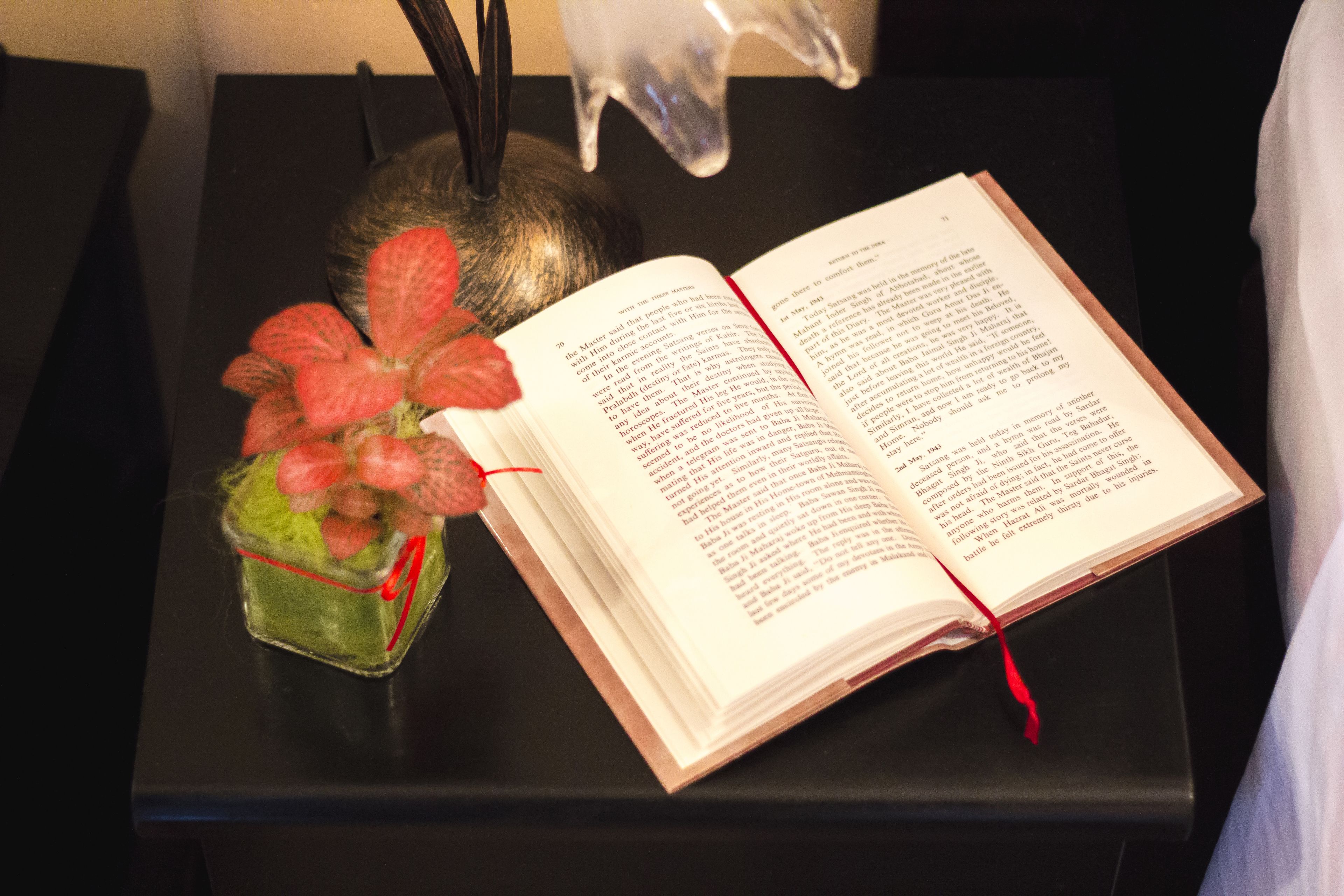 Um livro aberto sobre uma mesa preta, com uma pequena planta e um objeto decorativo ao fundo.
