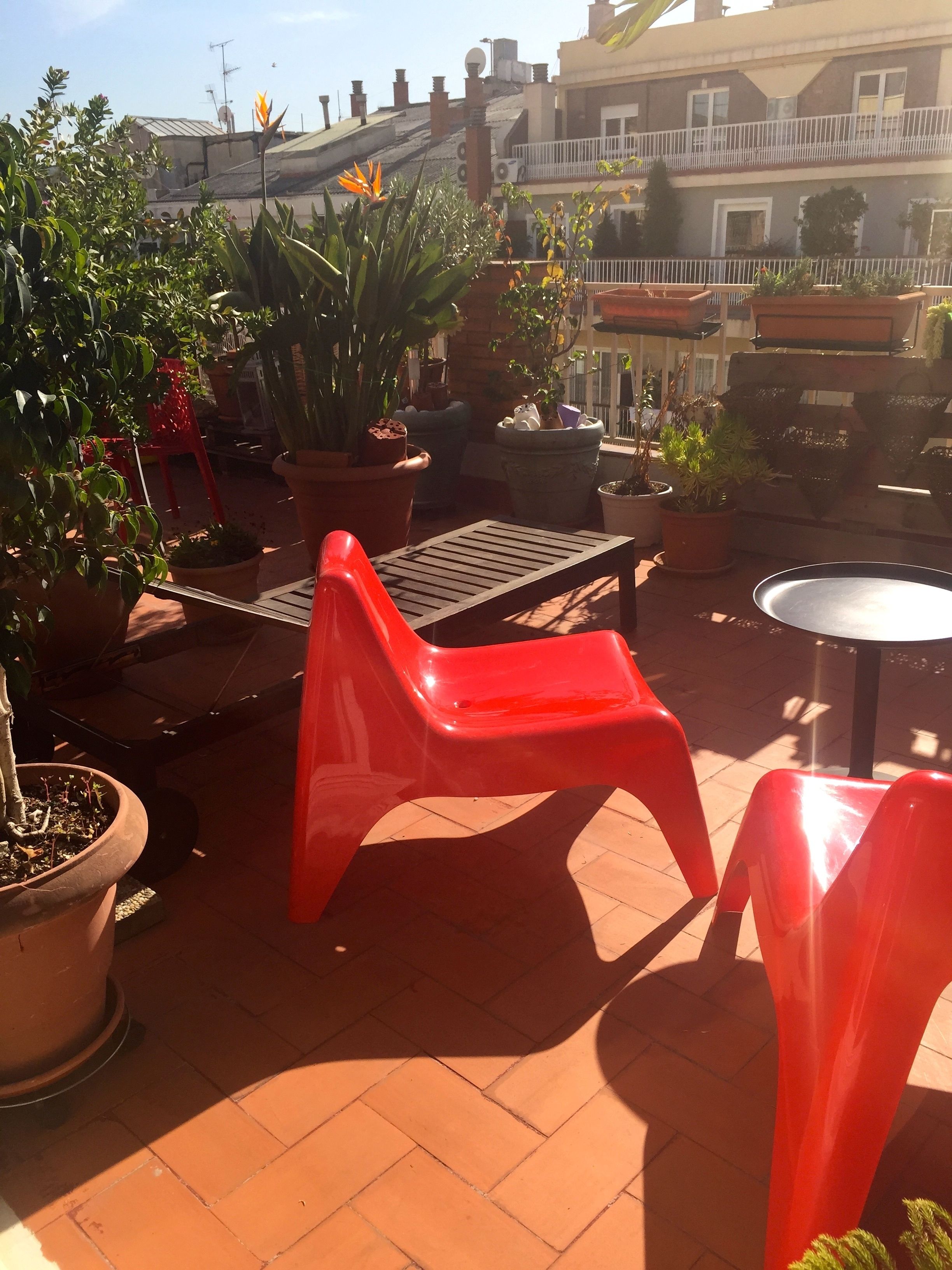 Um pátio externo com plantas em vasos, uma cadeira de plástico vermelha e uma mesa pequena.