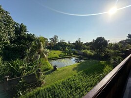 Um jardim exuberante com um lago, folhagem densa e céu claro.