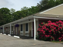 Um motel com varanda coberta, vários quartos e um grande arbusto de flores vermelhas.