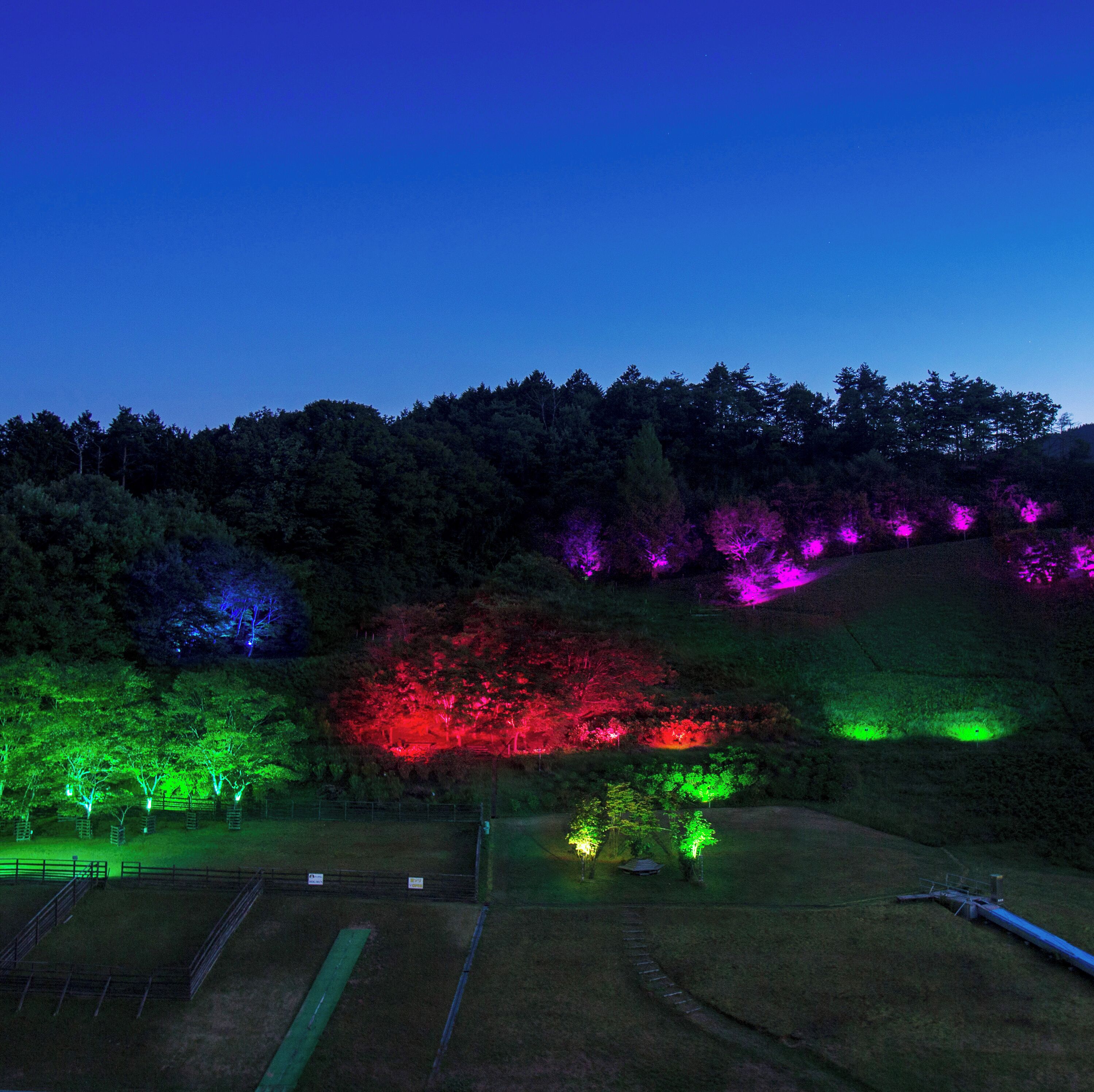 Paisagem noturna com árvores iluminadas e relevo acidentado.