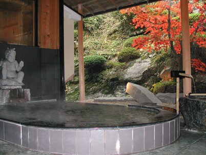 Yado Hanaya Tokubei - Dorogawa-onsen Hot Spring