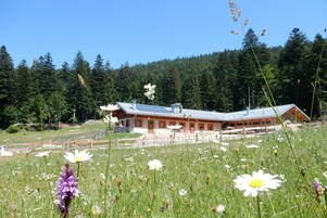 Caminhada
