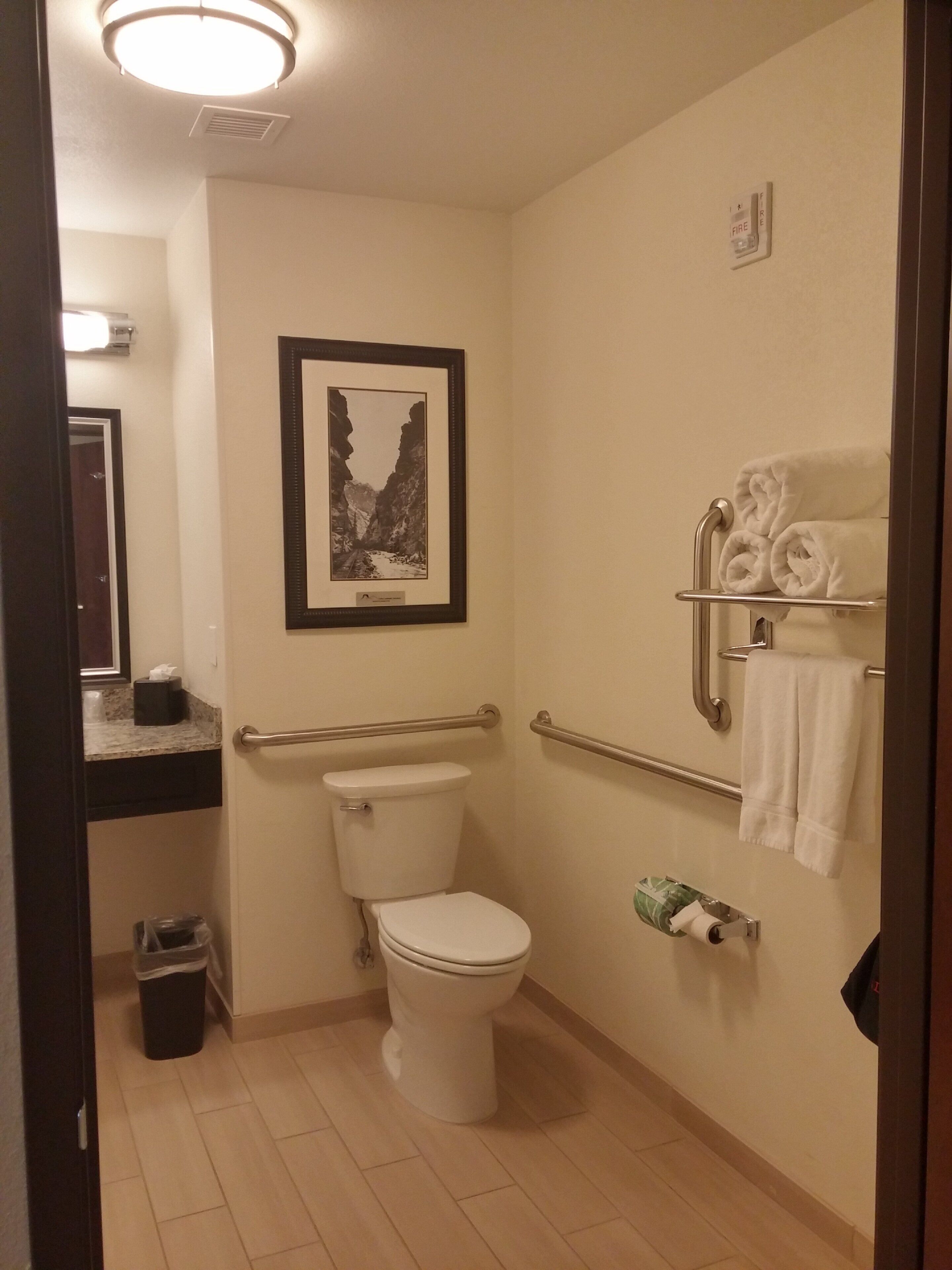Casa de banho com sanita, barras de apoio, quadro emoldurado, porta-toalhas e um cesto de lixo.