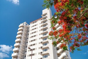 Fachada da propriedade