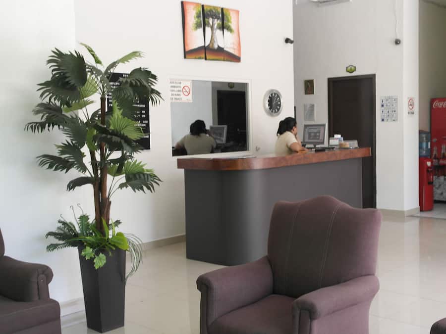 Recepção