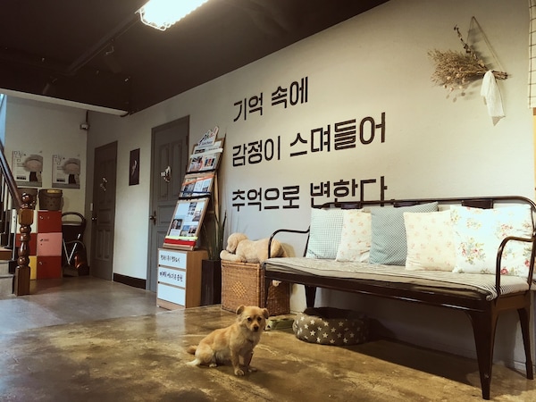 Suncheon Guesthouse Nreem - Yeosu-si