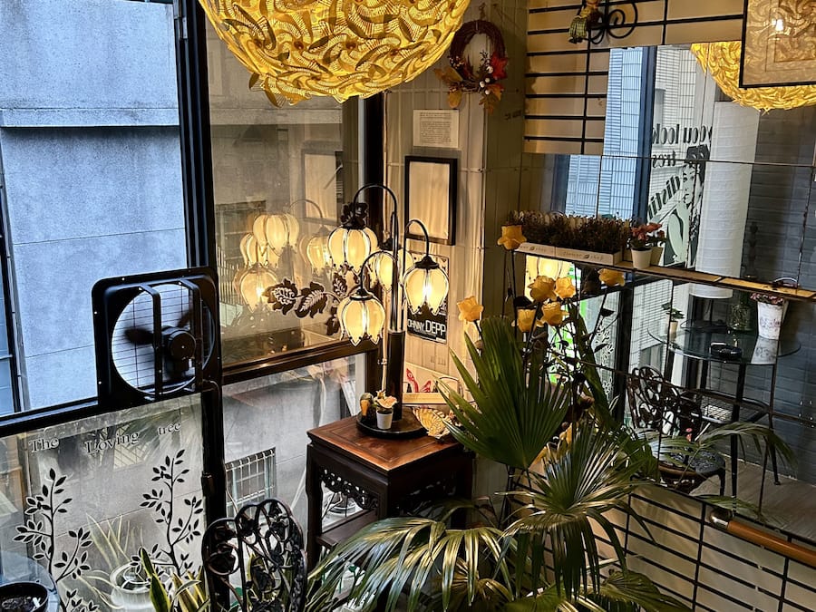 Um interior moderno com uma luminária decorativa grande, uma escada e vários vasos de plantas.