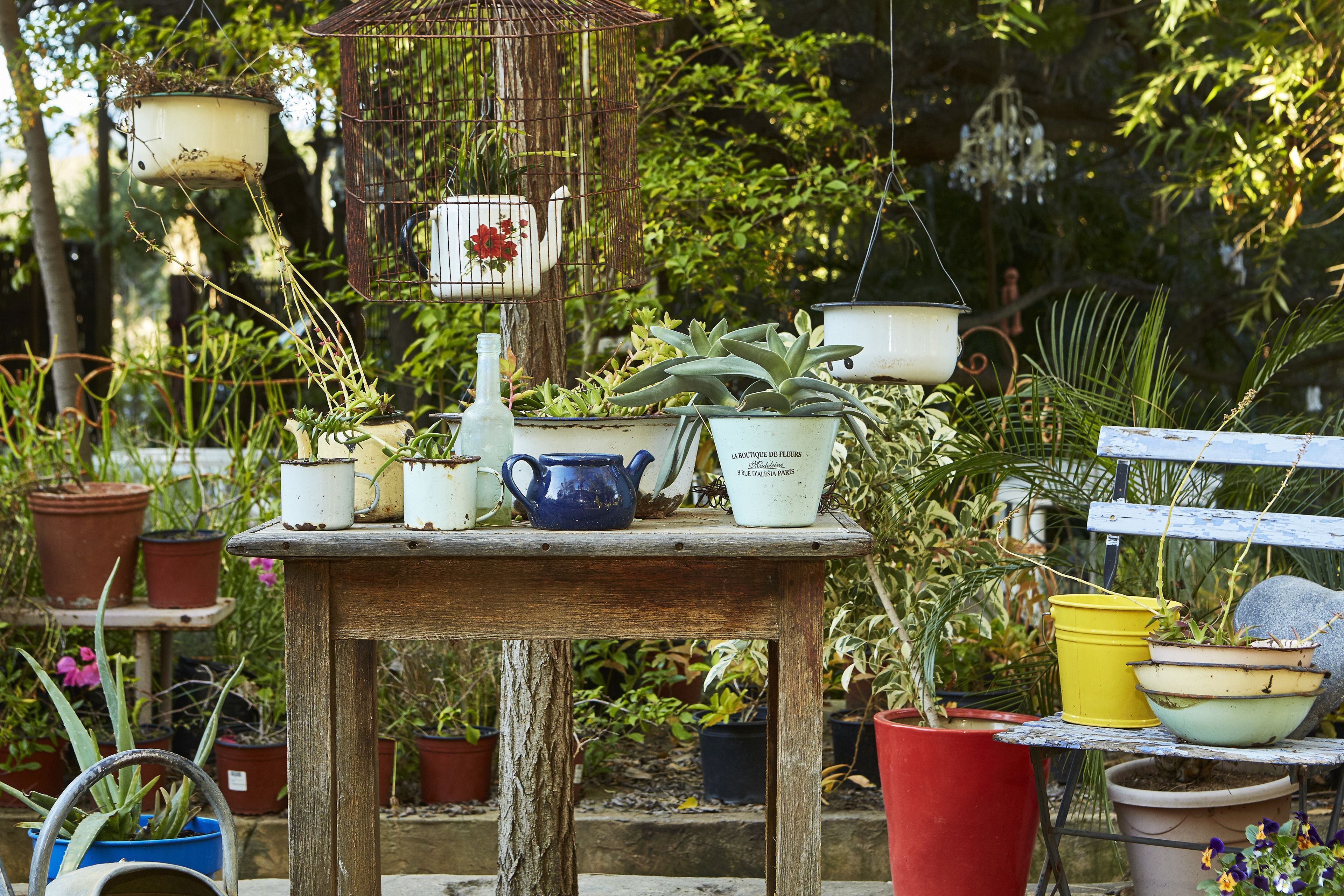 Mesa de jardim com diversos vasos de plantas e ferramentas de jardinagem.