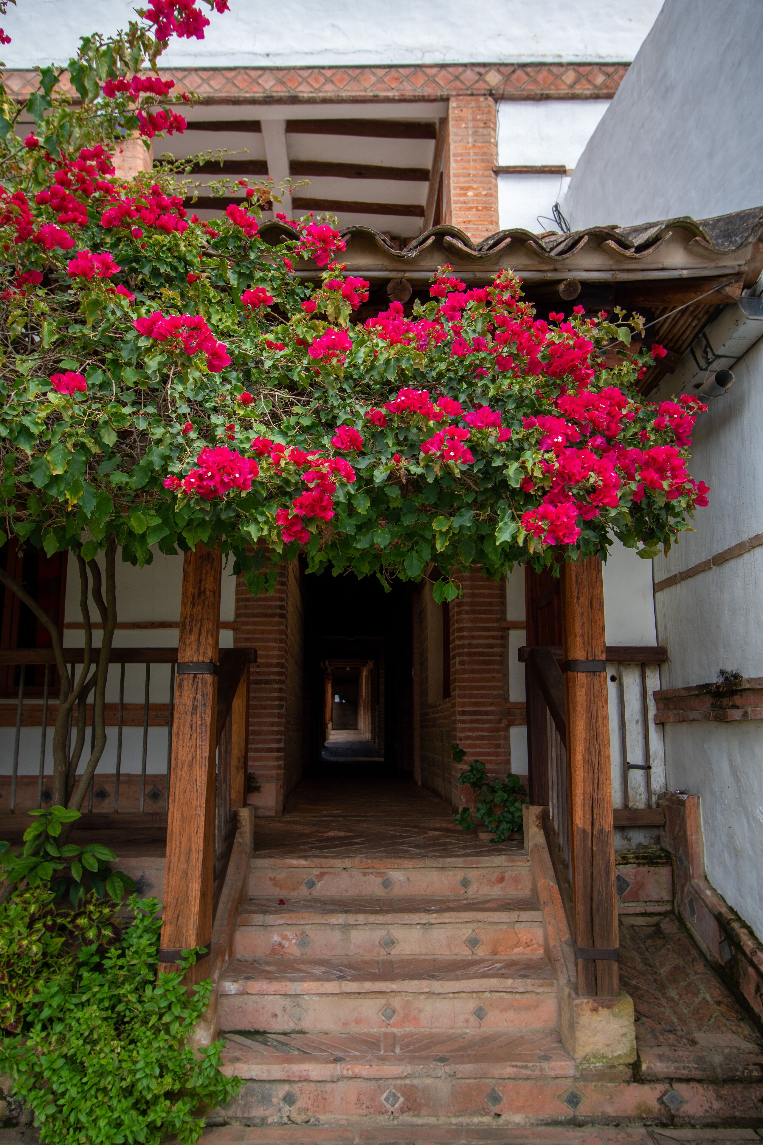 Entrada (vista interior)