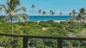 Apartamento Deluxe, 1 quarto, vista para a praia (103) | Terraço/pátio interior