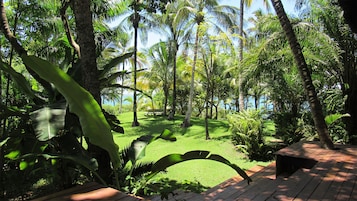 Jardim