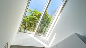 Claraboia com vista para vegetação verde.