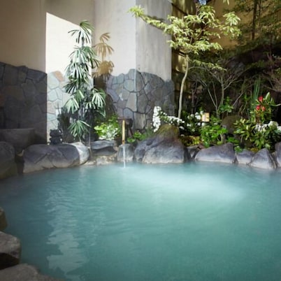 Hot Springs Inn 'unzen Iwaki Ryokan'