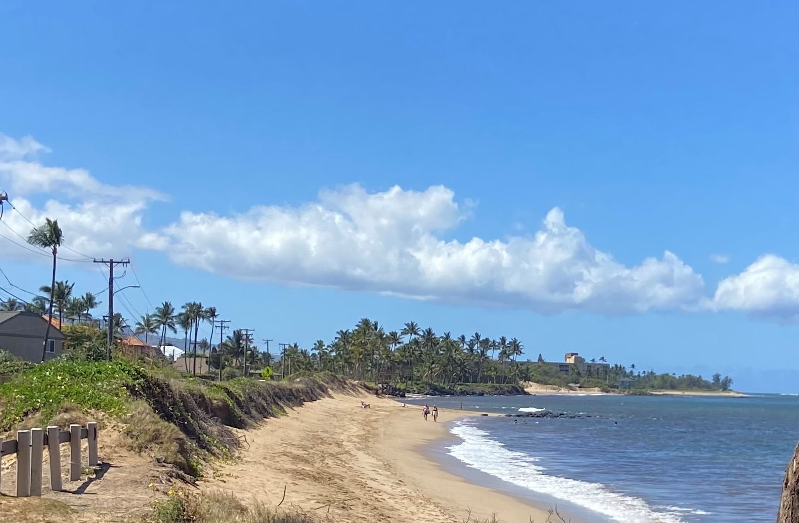 Uma praia arenosa com céu claro, palmeiras e alguns edifícios ao fundo.