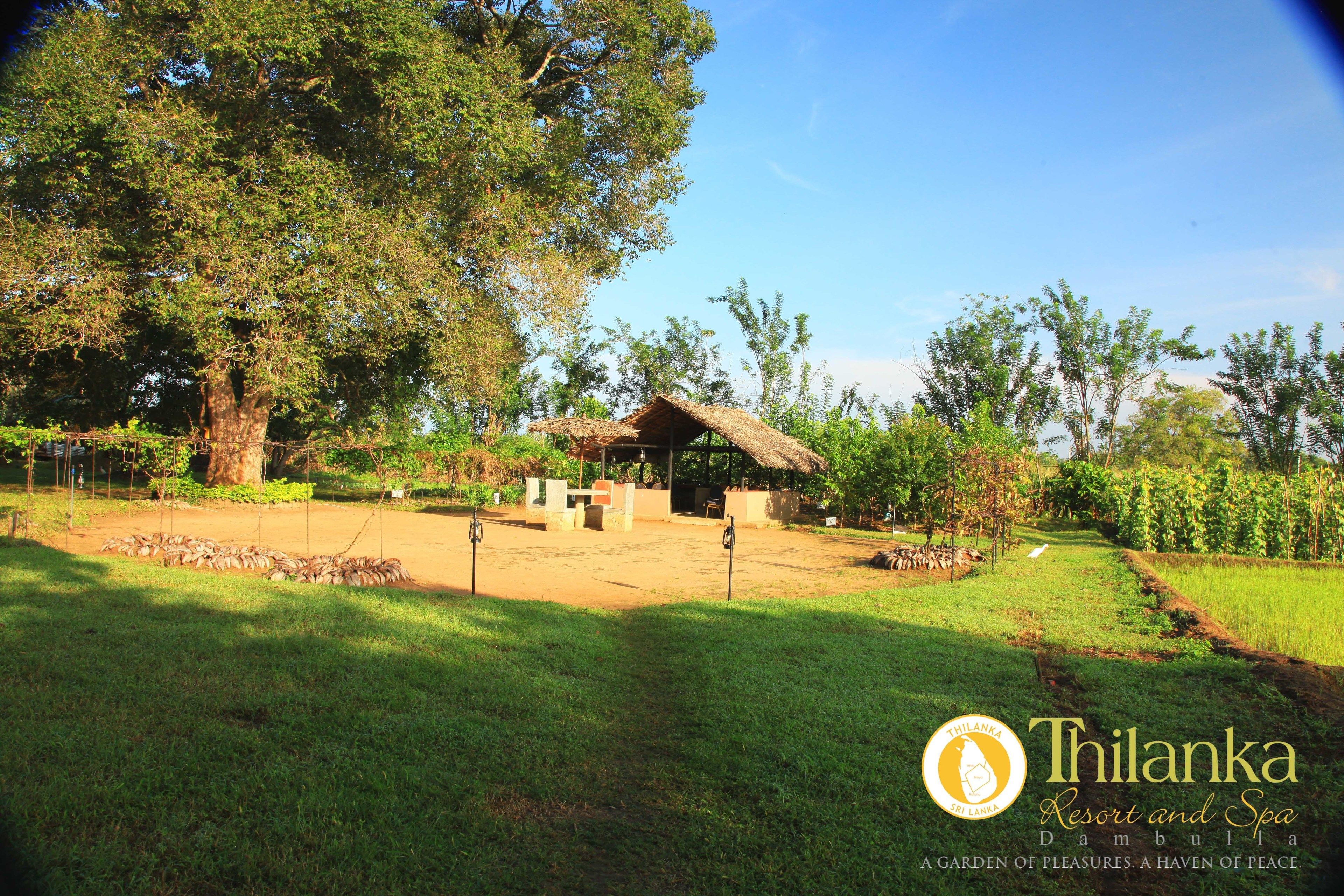 Resort com um pavilhão de colmo, rodeado por vegetação exuberante e um gramado bem cuidado.