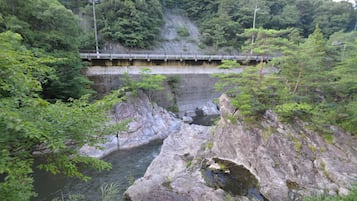 Uma ponte sobre um rio pedregoso, com mata densa em ambas as margens.