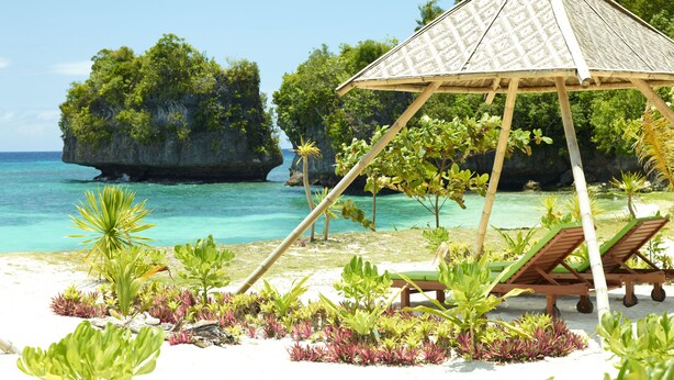 Uma praia com uma estrutura de palha, cadeiras de descanso e plantas tropicais.