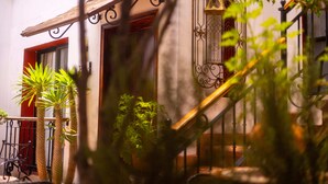 Uma escadaria com grades de metal elaboradas, corrimão de madeira e um vaso de planta.