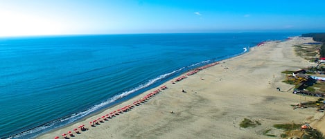 Vista aérea de uma praia com fileiras de guarda-sóis e pessoas.