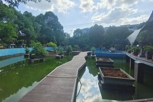 Um canal calmo com uma passarela de madeira, cercado por vegetação e plantas em vasos.