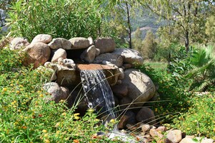 Formação rochosa natural com uma pequena cascata, rodeada por vegetação e flores.