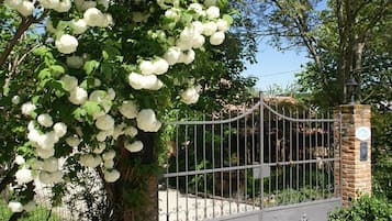 Uma entrada murada com portão de metal, pilastra de tijolos e árvore florida em branco.