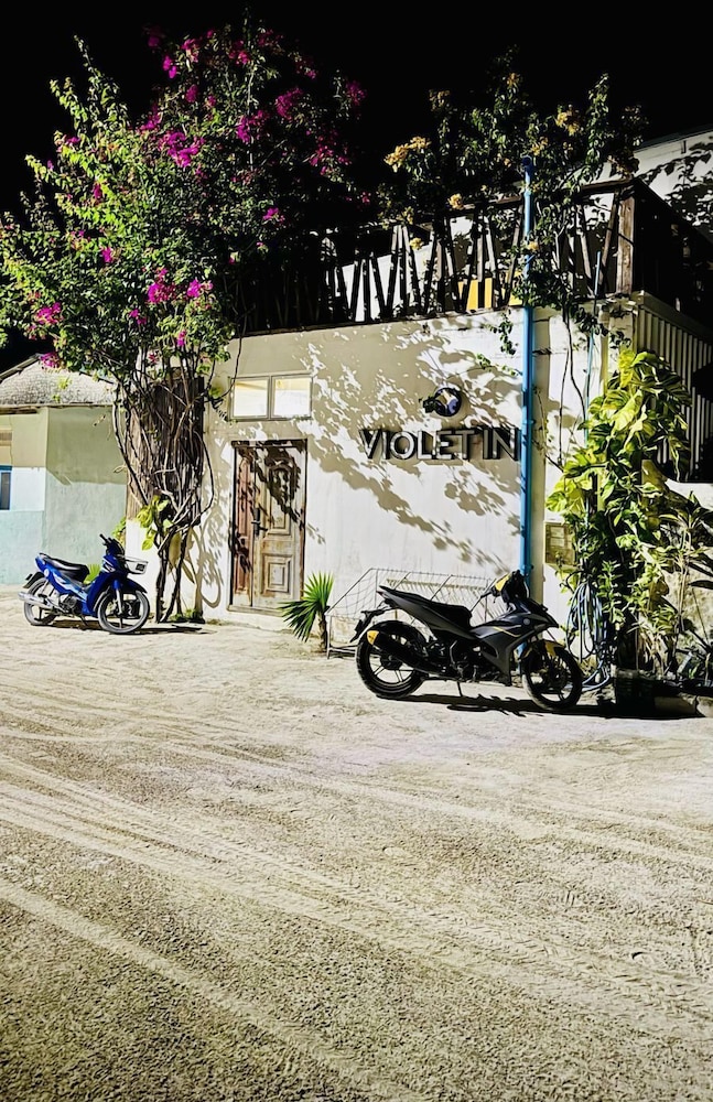 Violet Inn - Maldives