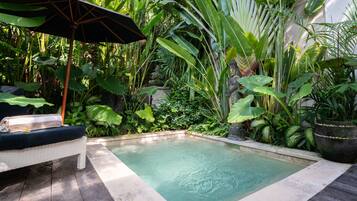 One Bedroom with Private Plunge Pool Villa | Vista do quarto