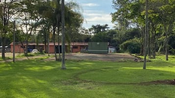 Um campo gramado com palmeiras e um edifício ao fundo.