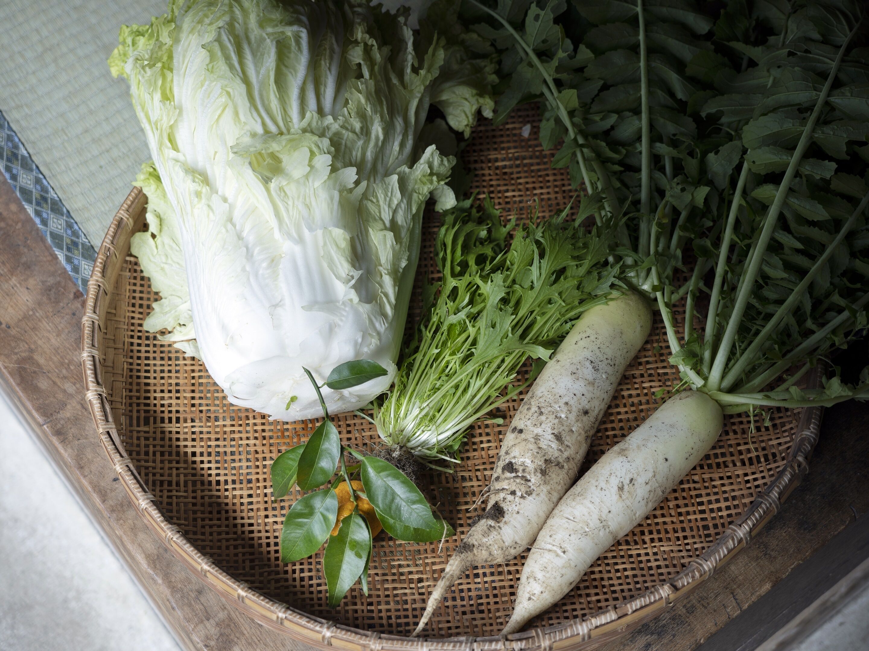 Uma cesta de vime com diversos vegetais, incluindo um repolho grande, folhas verdes e dois rabanetes brancos.