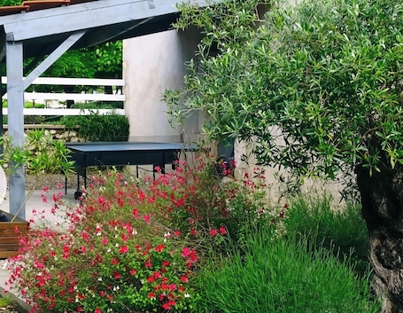 Atividades para crianças