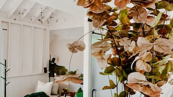 Estúdio Económico | Com decoração personalizada, com mobília individualizada, secretária