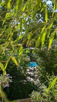 Piscina rodeada por vegetação exuberante e folhagem densa.