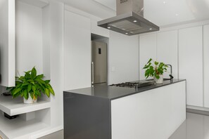 Apartamento grand | Cozinha privada | Geladeira, micro-ondas, fogão, cooktop