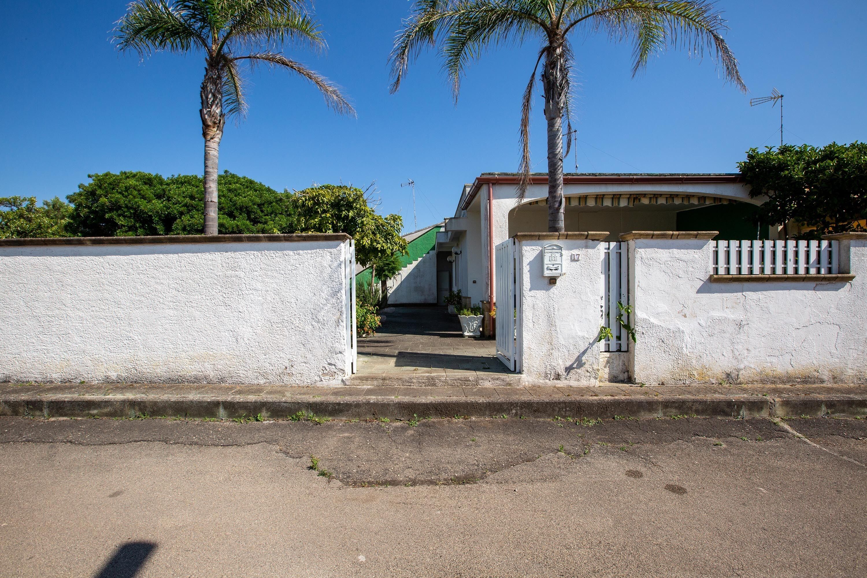 Rua residencial com uma casa branca, um portão e uma palmeira.