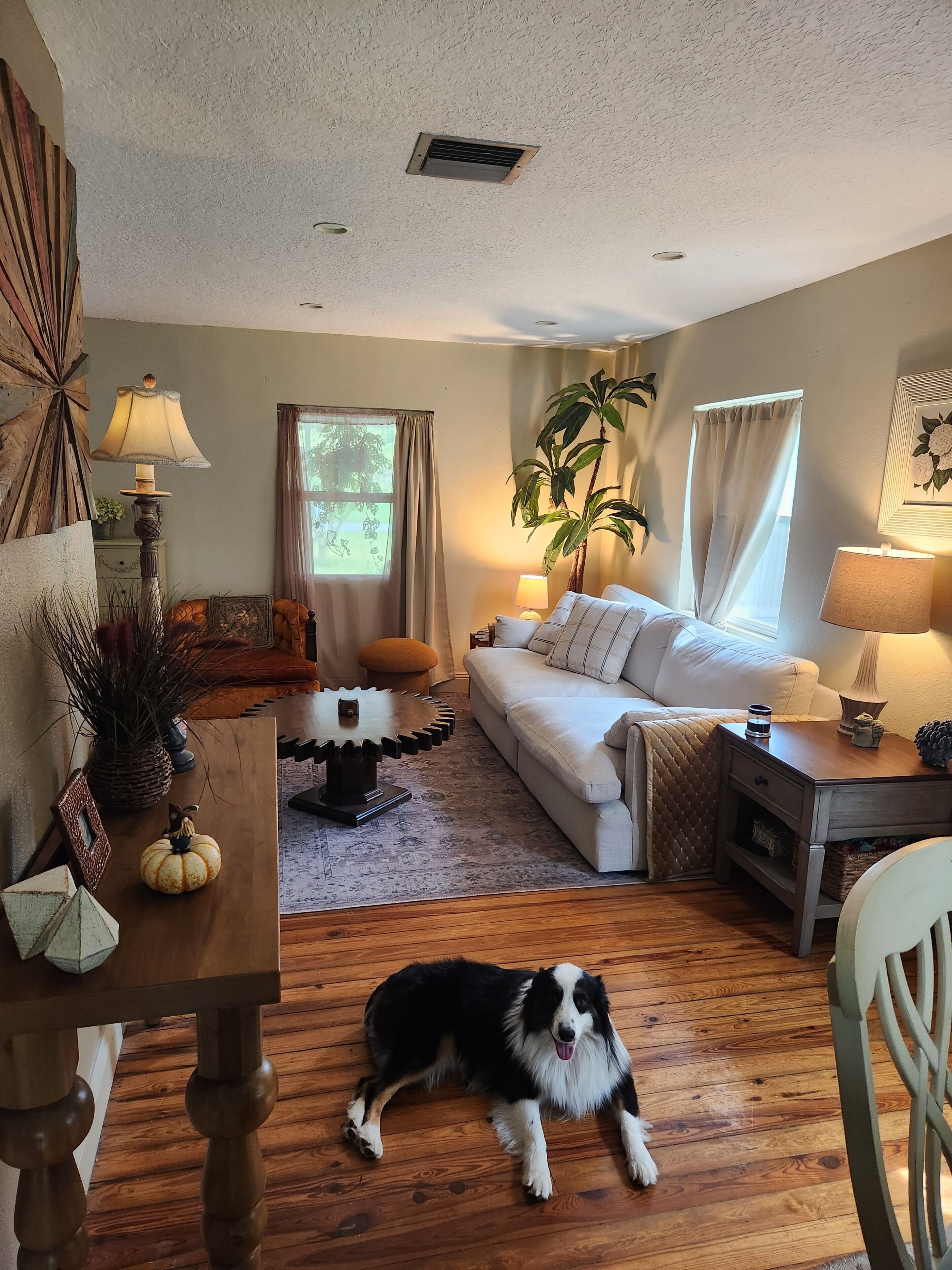 Bungalow On Quiet Street Close To Trendy Cafes, Pubs, And Parks. Dogs Welcome! - Winter Park, FL