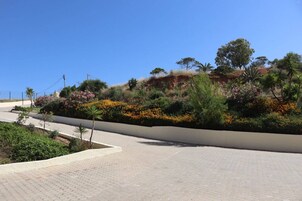 Um caminho pavimentado com um jardim ajardinado com diversas plantas e flores.