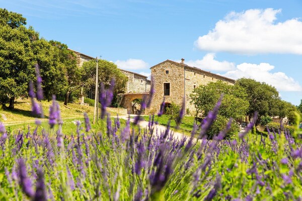 Domaine De L'astic - Vallon-Pont-d'Arc