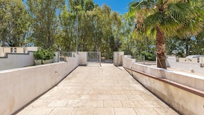 Uma alameda pavimentada leva a um portão cercado por árvores, incluindo uma palmeira.