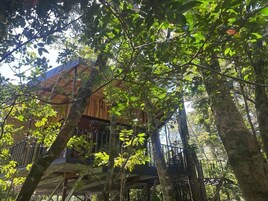 Casa na árvore romântica | Individualmente decorados, individualmente mobiliados, Wi-Fi de cortesia