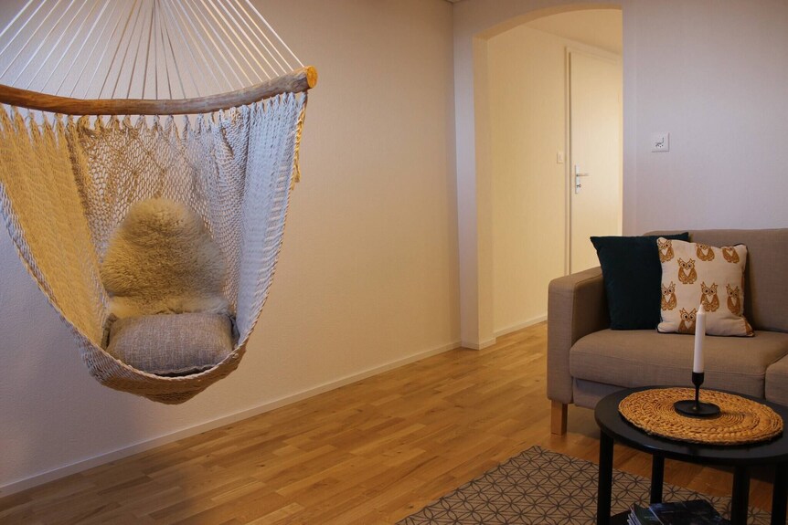 Appartement Entièrement Rénové Proche De La Gare Et Du Centre - Saint-Gall