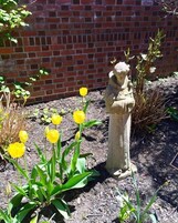 Terraço/pátio interior