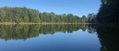 Um lago tranquilo com floresta densa nas margens.
