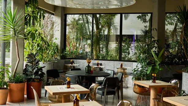 Espaço interno moderno com mesas, cadeiras, janelas amplas e plantas em vasos.