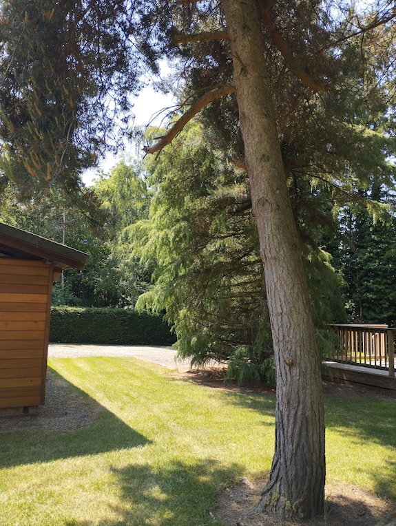 A Charming & Traditional Scandinavian Log Cabin Within A Tranquil Setting. - Yorkshire
