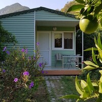 Casa na Árvore Clássica | Minibar, com decoração personalizada, secretária, Wi-fi grátis 