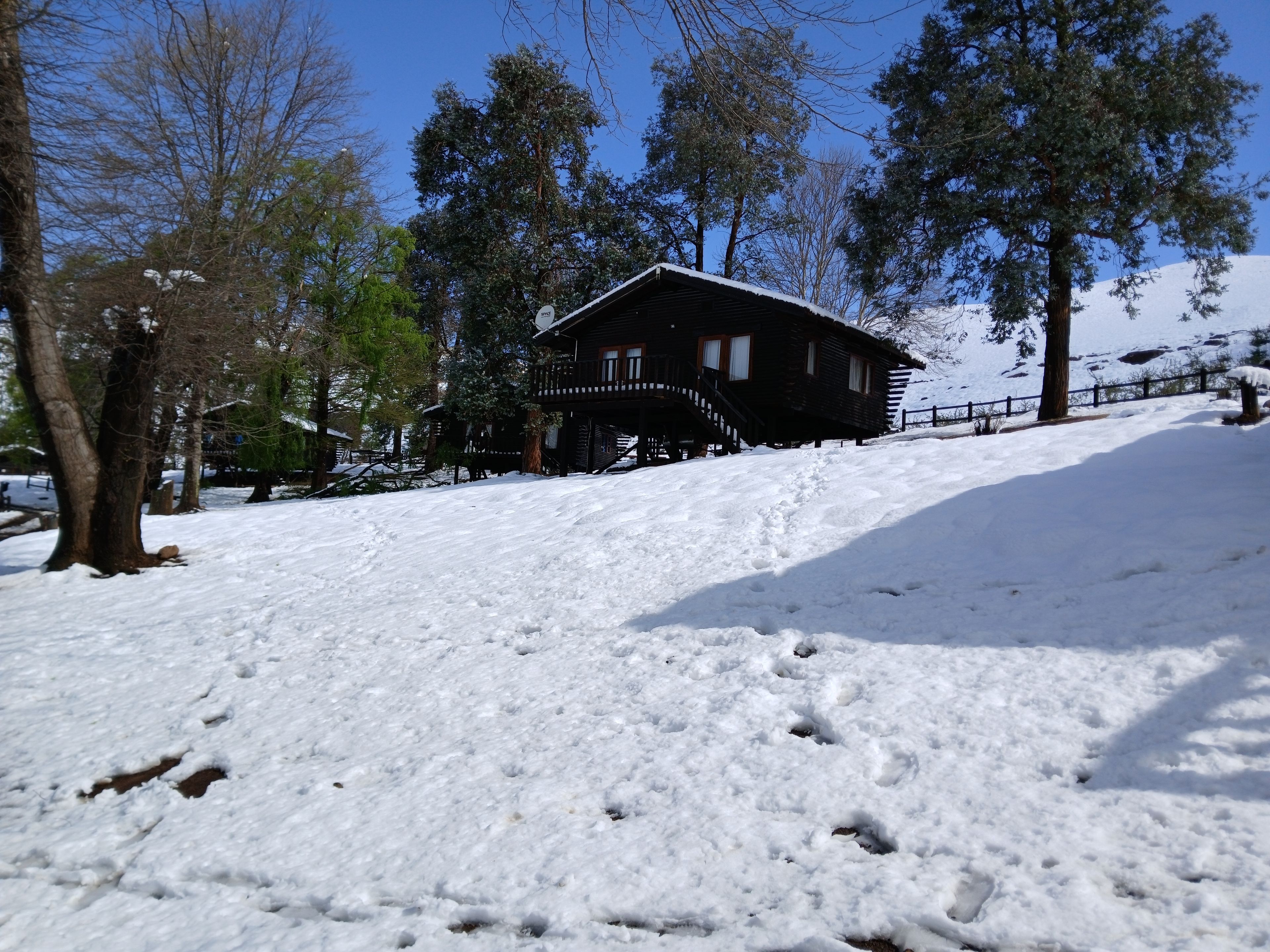 Uma cabana de madeira com varanda, rodeada por árvores e terreno coberto de neve.