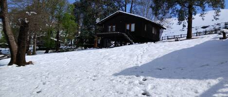 Uma cabana de madeira com varanda, rodeada por árvores e terreno coberto de neve.